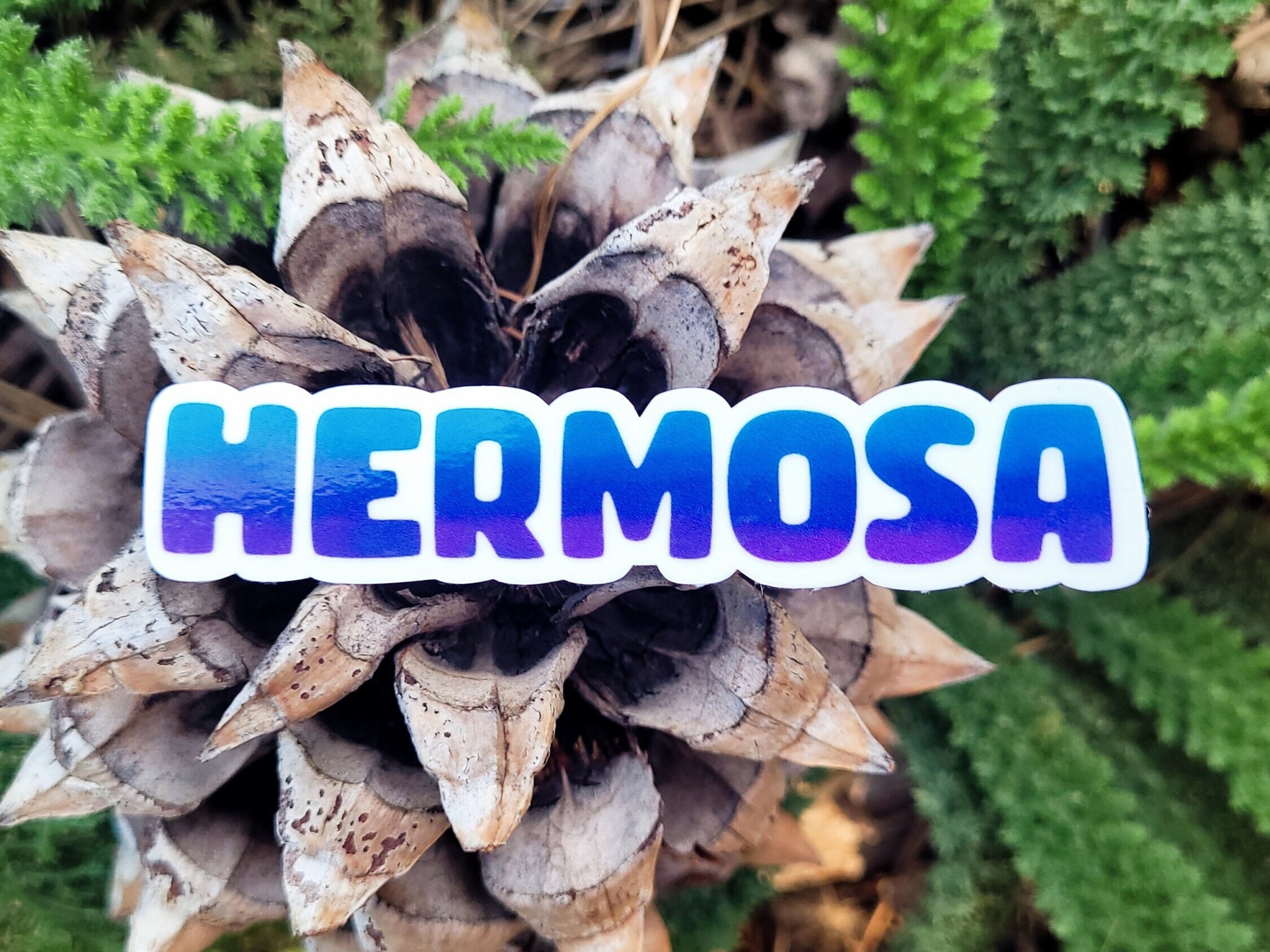 Hermosa Sticker Latina Owned Businesses Educated Latina - Etsy