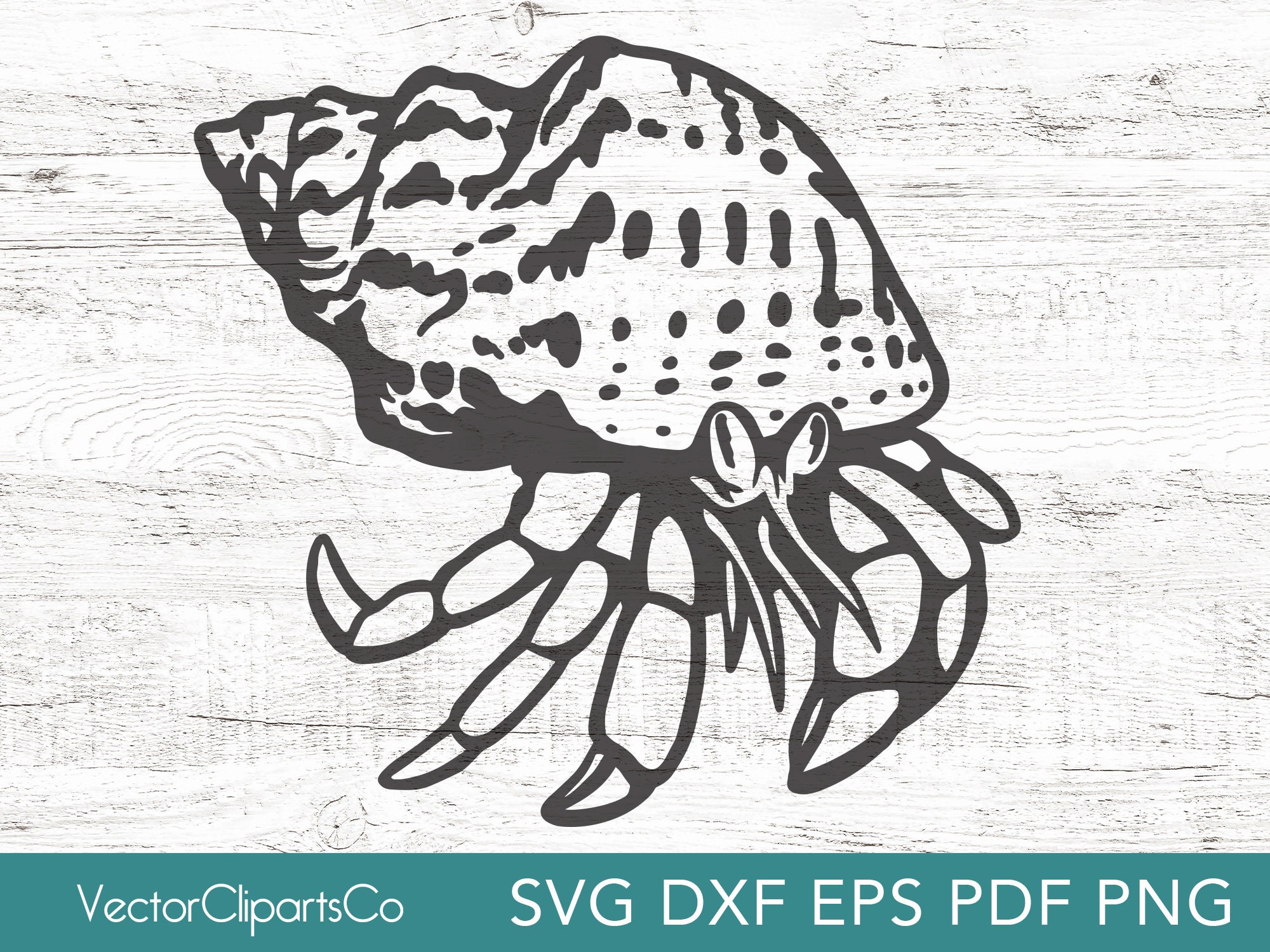 Hermit Crab SVG, Crustaceancore, Crab Vector Cut File, Commercial Use ...