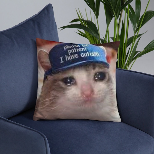 Meme Pillow - Etsy