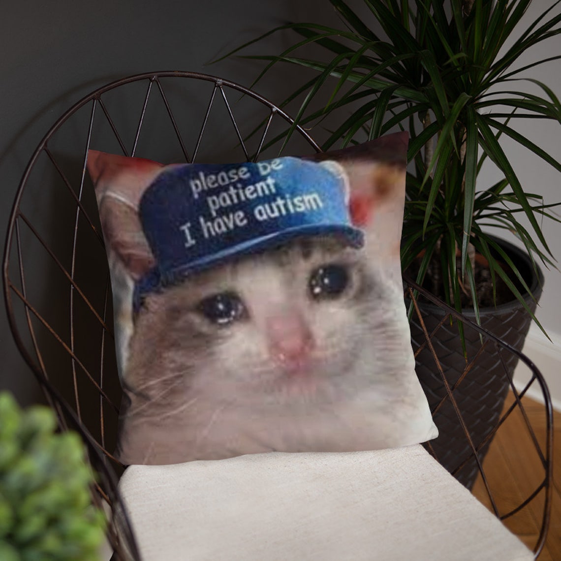Autism Cat Pillow / Please Be Patient I Have Autism / Autism Pillow ...
