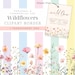 Book Border Clipart the Next Chapter Books With Bows Winter Reading ...