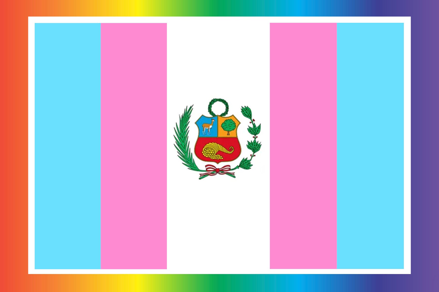 Peruvian Trans Flag - Etsy