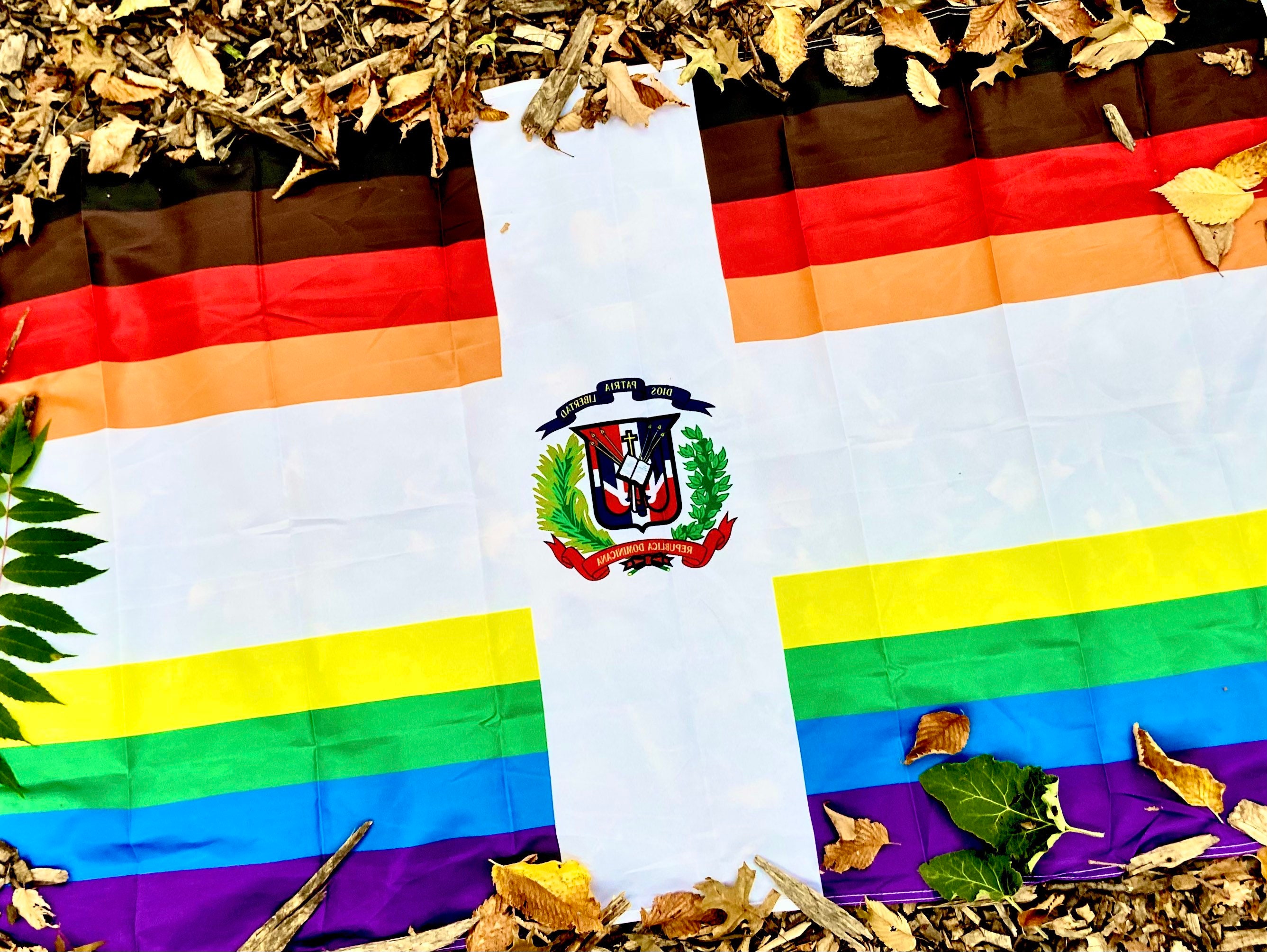 Dominican Rep. Pride Flag - Etsy