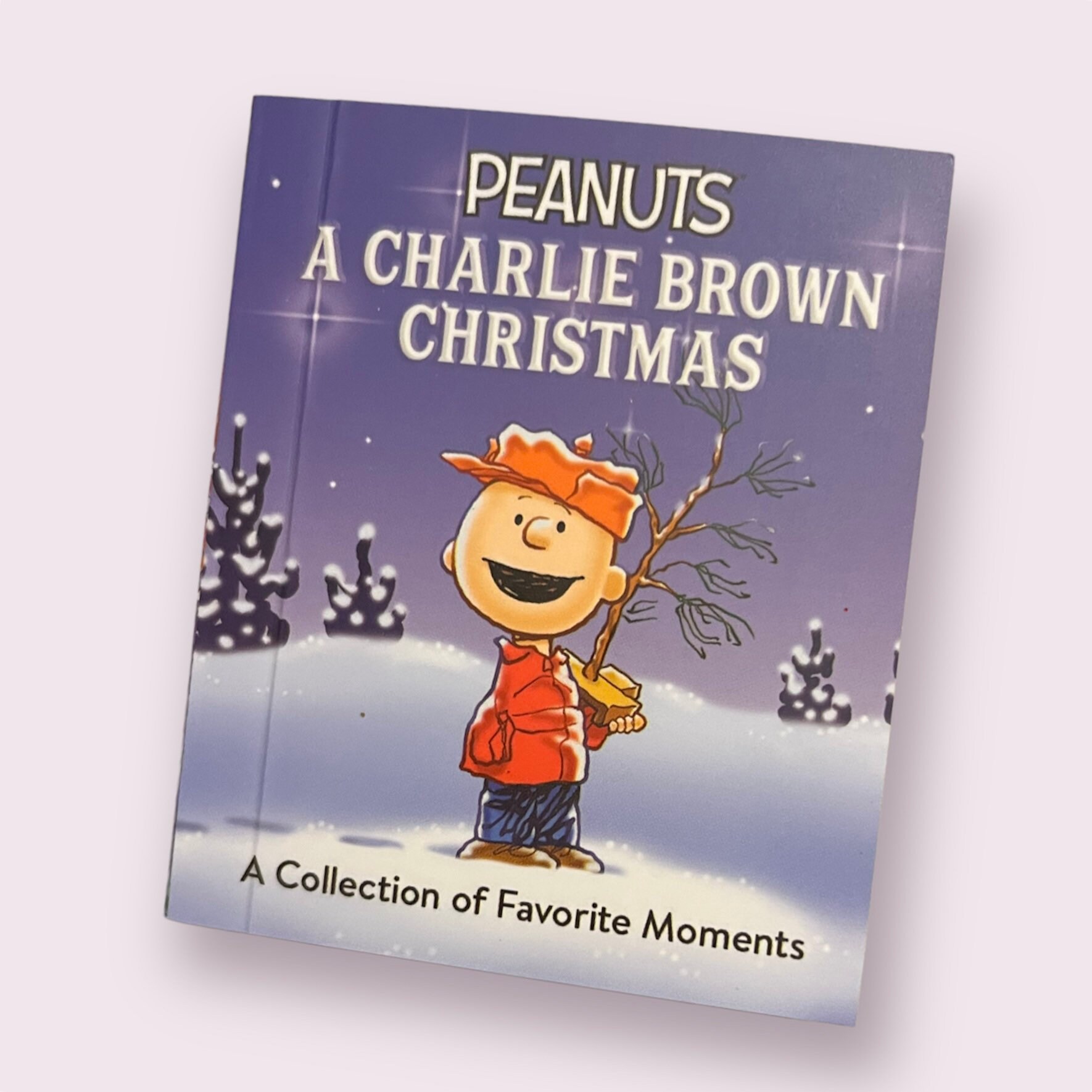 14 Peanuts, Charlie Brown, Christmas, Green Wreath With Bonus Mini ...