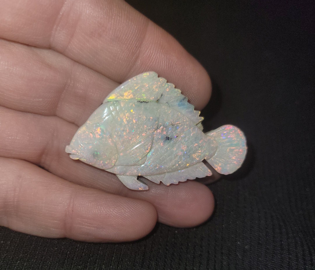 Mintubi Gem Fish Carving - Etsy
