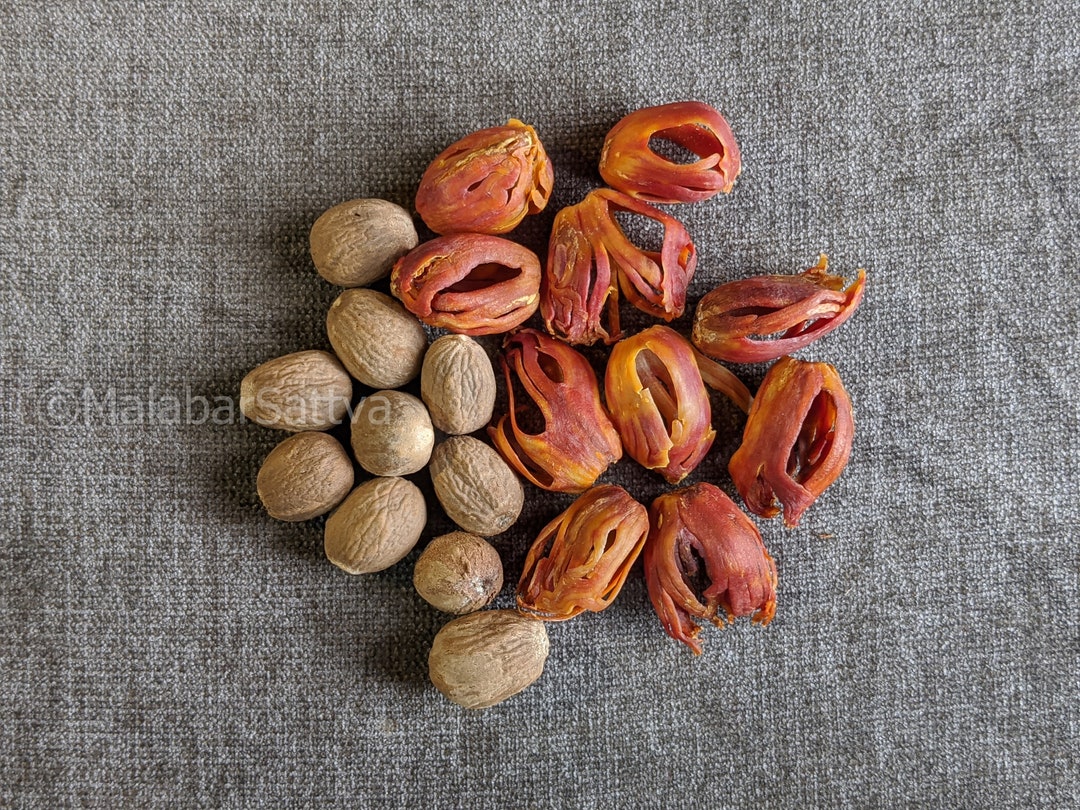 Nutmeg and Mace / Jathi / Jathi Pathri /jaiphal / Nutmeg - Etsy
