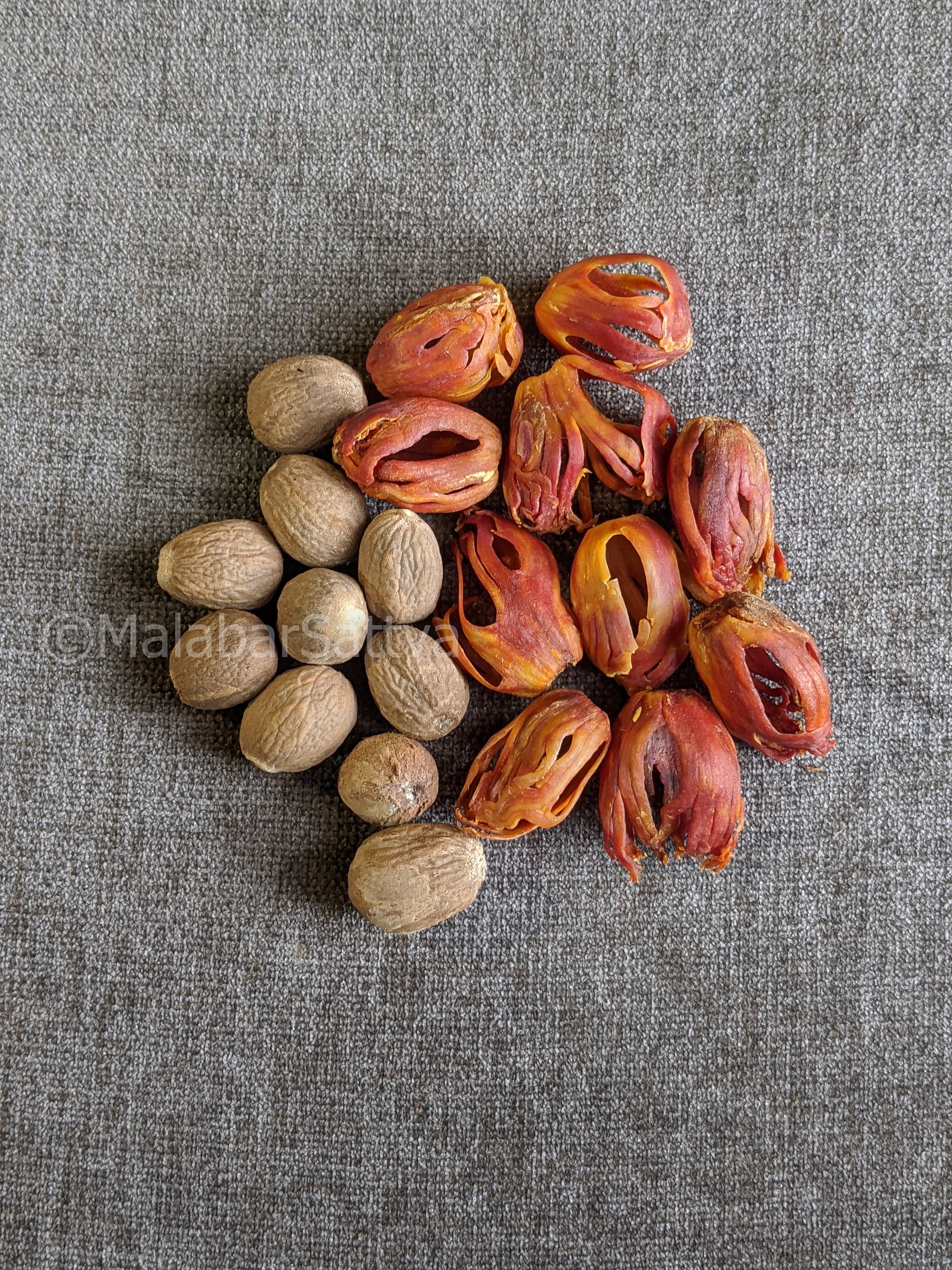 Nutmeg and Mace / Jathi / Jathi Pathri /jaiphal / Nutmeg Flower - Etsy