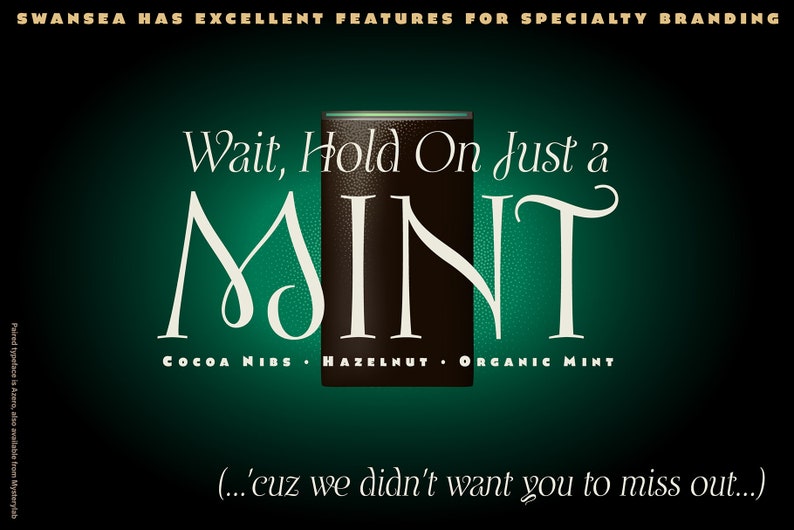 Swansea Elegant Serif Font - Etsy