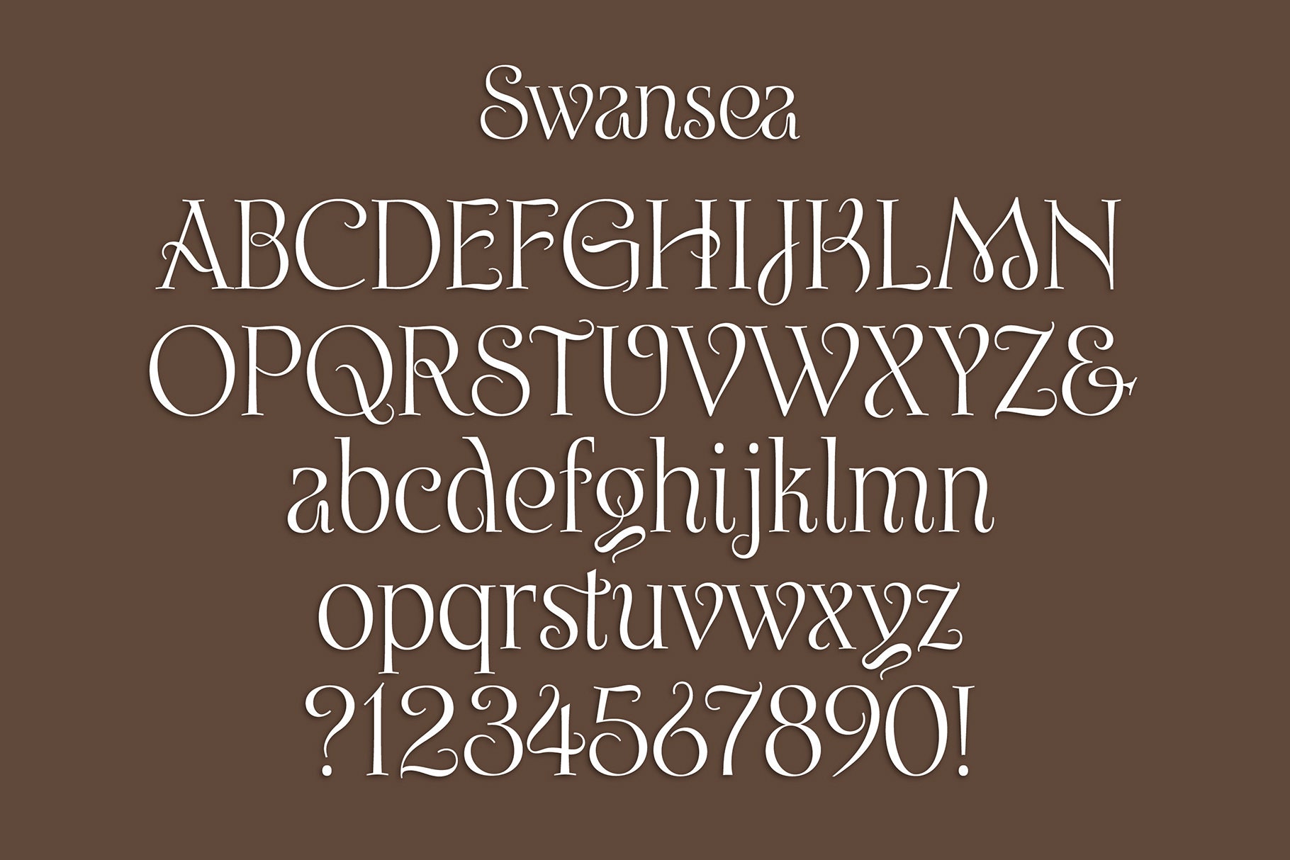 Swansea Elegant Serif Font - Etsy