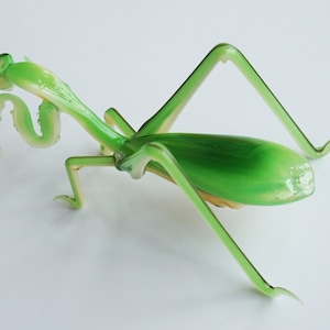 Art Glass Praying Mantis, Glass Sculpture, Hand Blown Glass, Glass ...