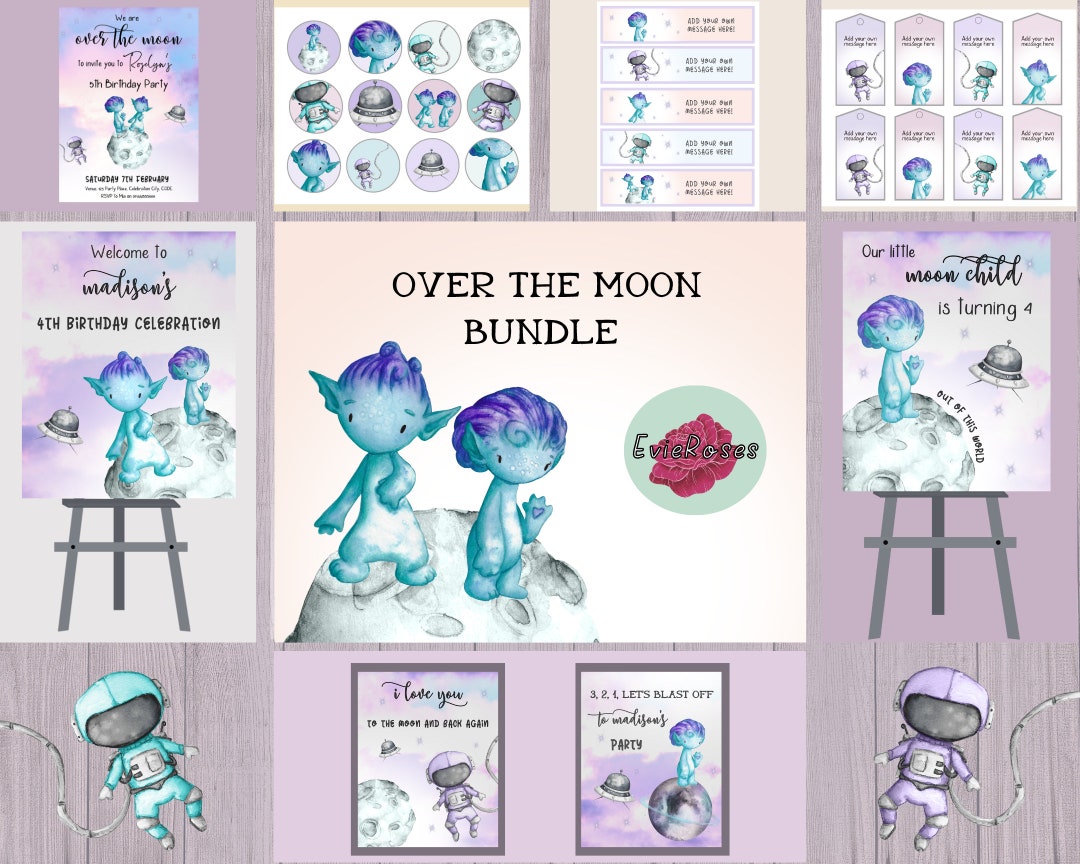 Over the Moon Birthday Bundle, Lilac Party Decoration, Alien and UFO ...
