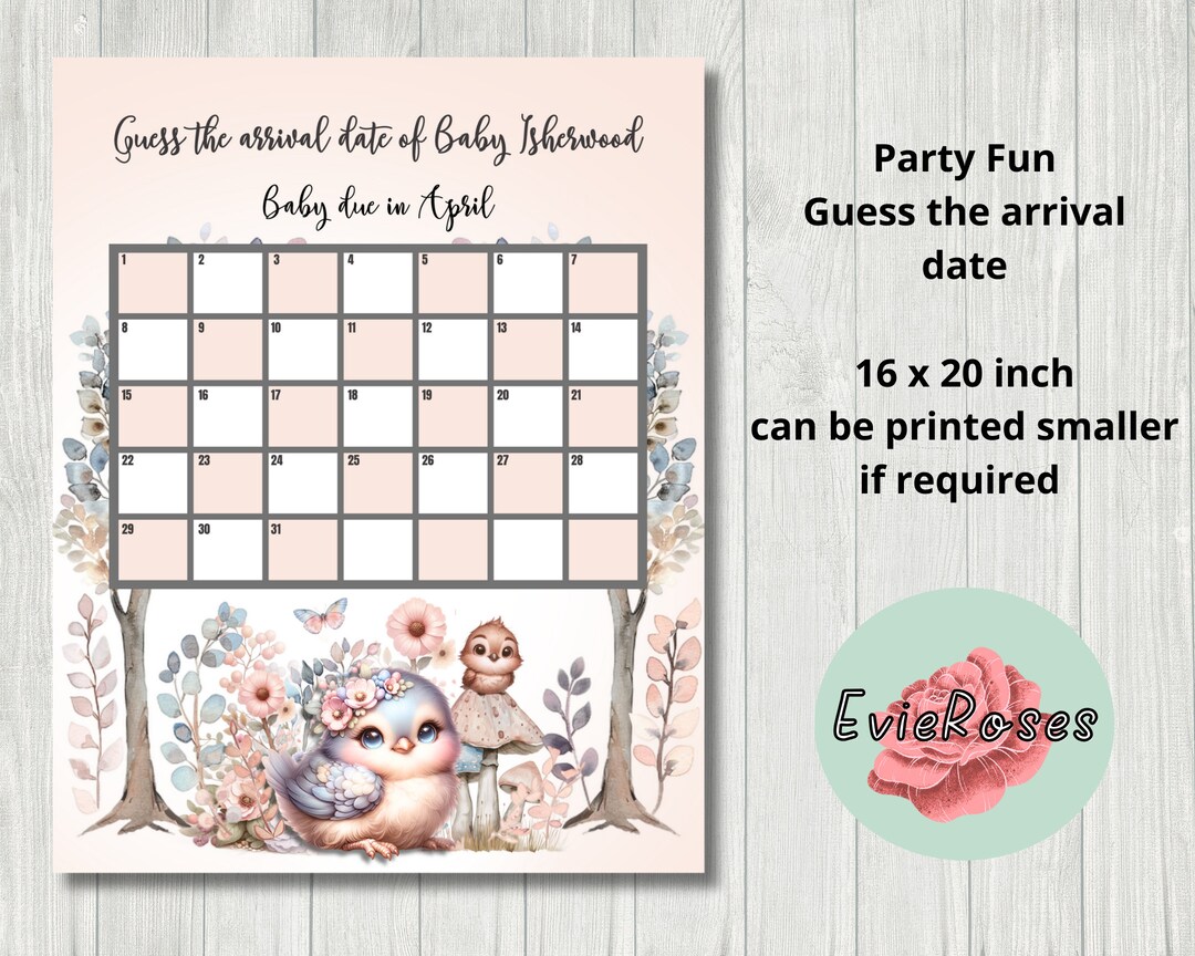 Bird Baby Shower Games Bundle, Boho Bluebird Printable Party Activities ...