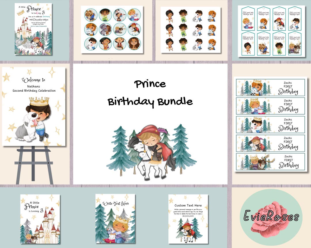 Little Prince Birthday Party Bundle, Blue Prince Birthday Decor ...