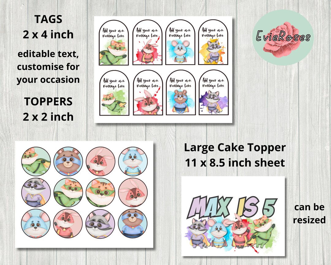 Superhero Party Bundle, Printable Hero and Villain Costume Party Decor ...