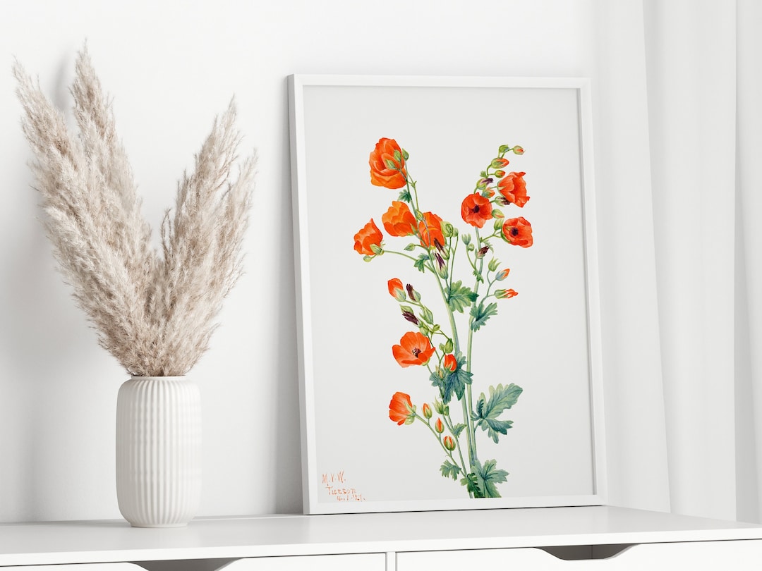 Scarlet Globe Mallow Print Vintage Wildflower Minimalist - Etsy