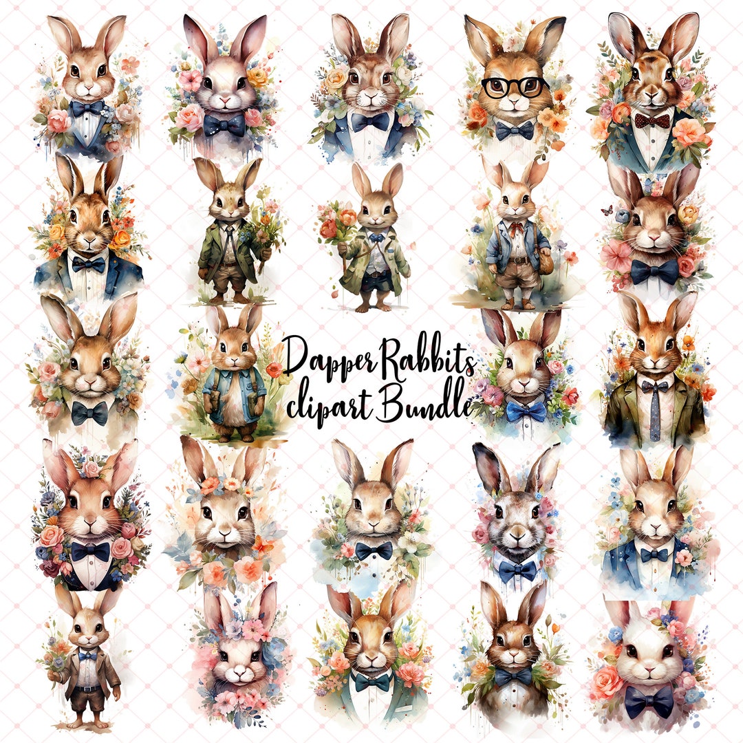 40 PNG Watercolor Dapper Rabbit Clipart Dapper Rabbit With - Etsy