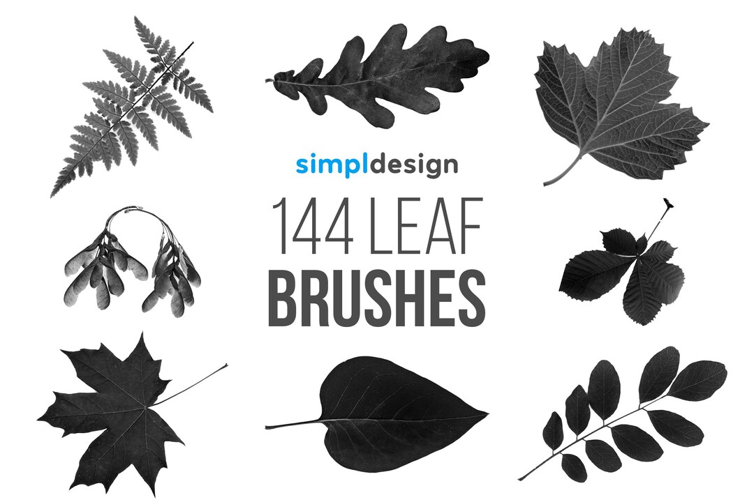 144 Leaf Photoshop Brushes | Realistic Leaves & Foliage Brush Set ...