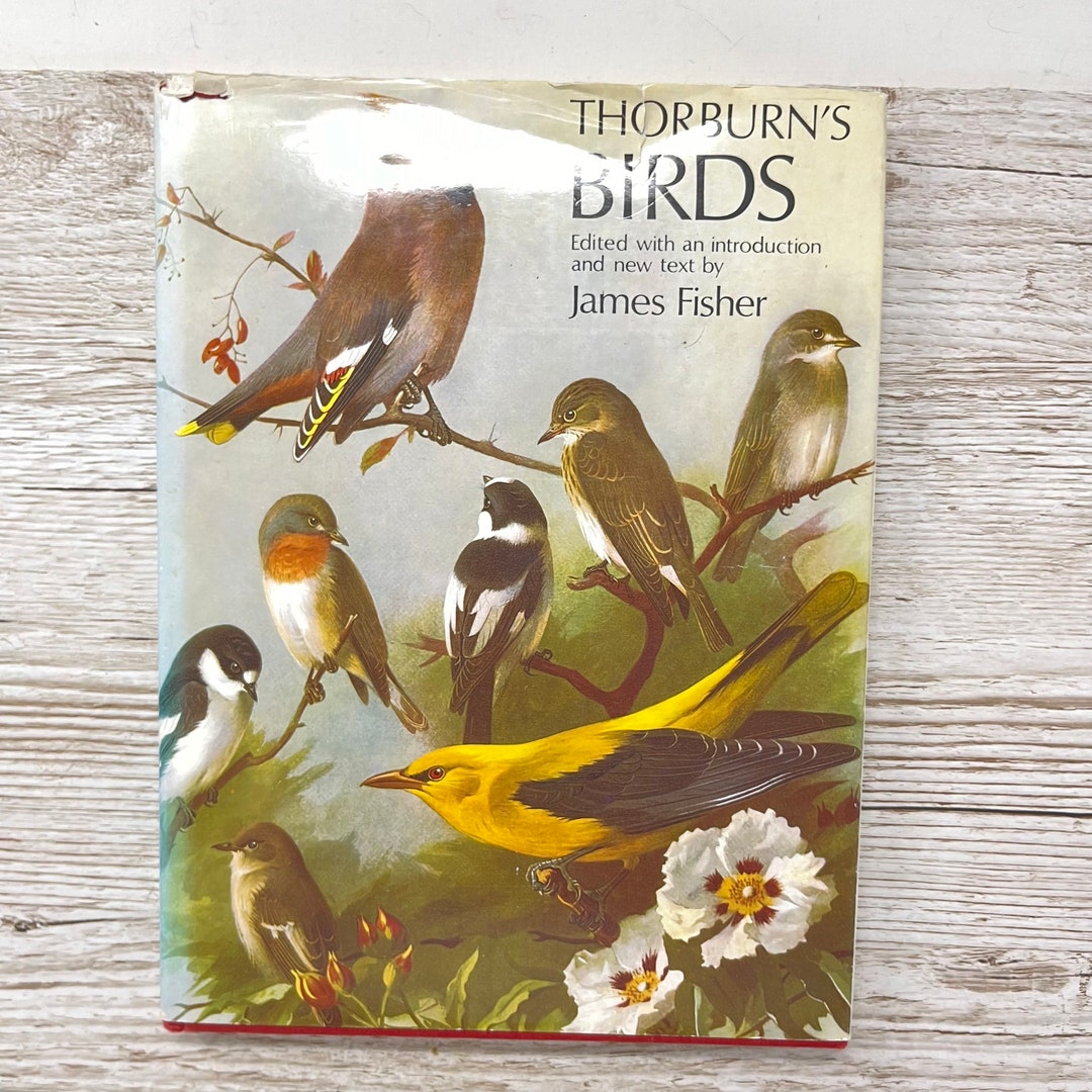 Vintage 1974 Thorburn’s Birds, Edited With an Introduction & New Text ...