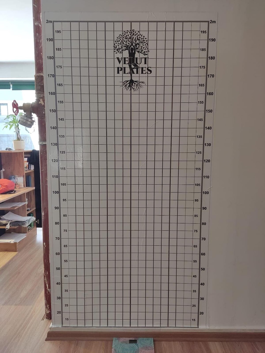 Custom Body Analysis Vinyl Posture Chart,posture Table Posture Grid ...