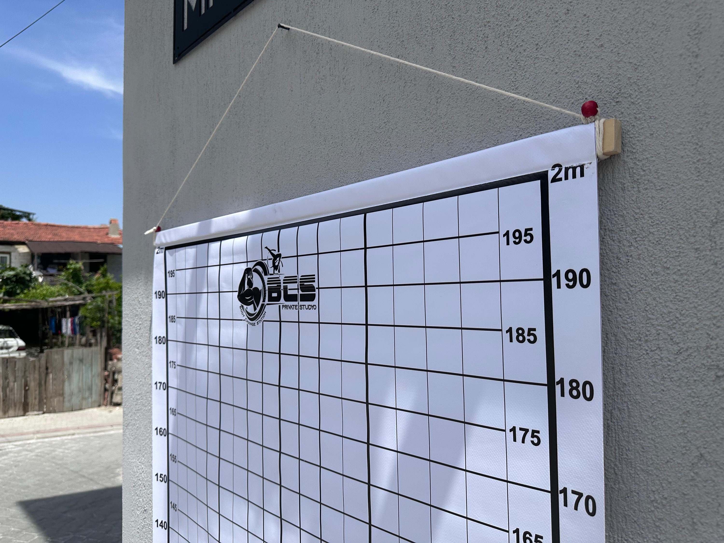 Custom Body Analysis Posture Chart,posture Table Posture Grid, Wall ...
