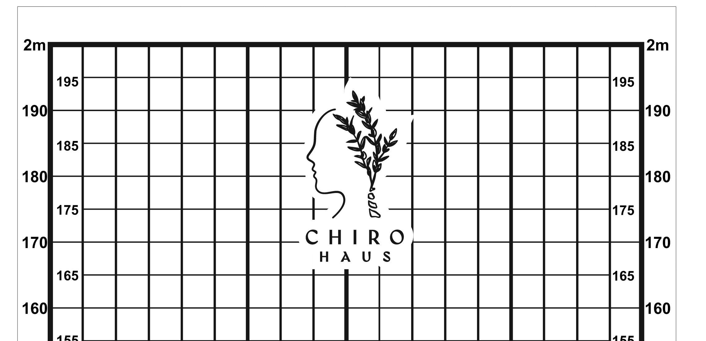 Custom Body Analysis Posture Chart,posture Table Posture Grid, Wall ...