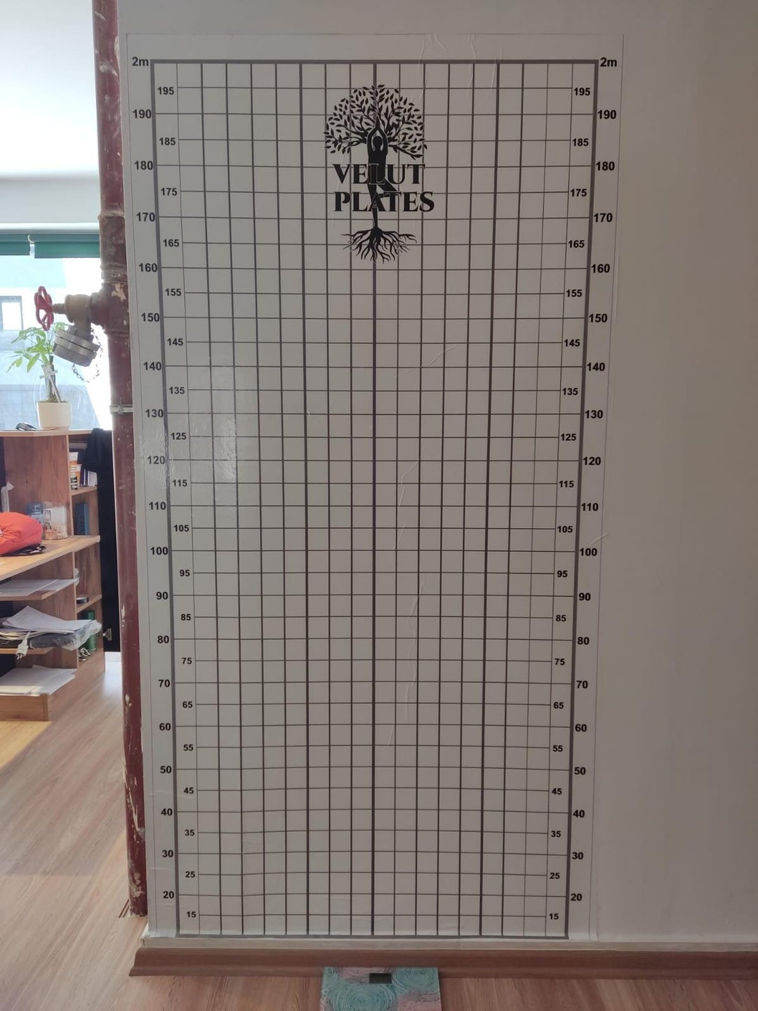 Custom Body Analysis Vinyl Posture Chart,posture Table Posture Grid ...