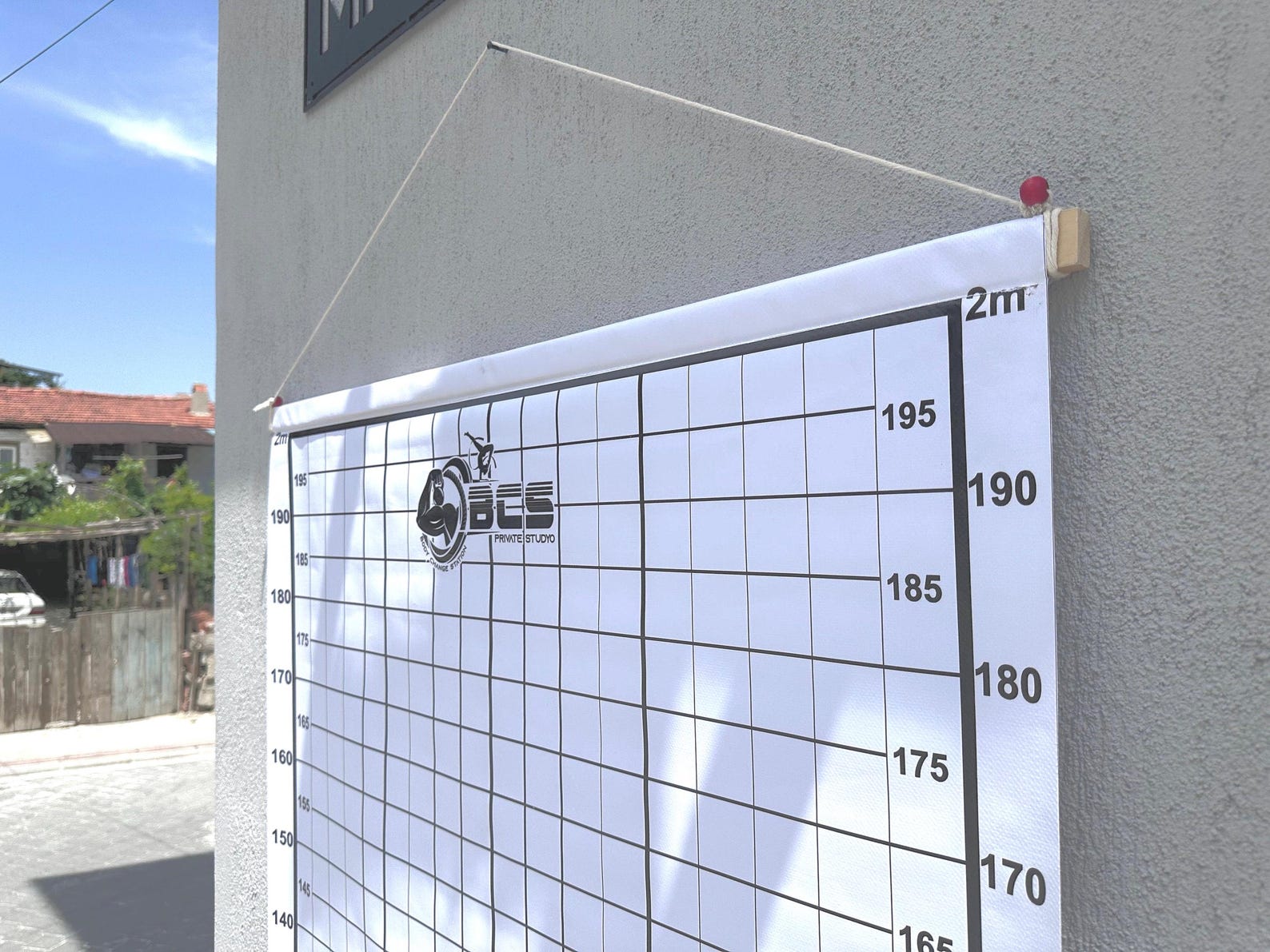 Custom Body Analysis Posture Chart,posture Table Posture Grid, Wall ...