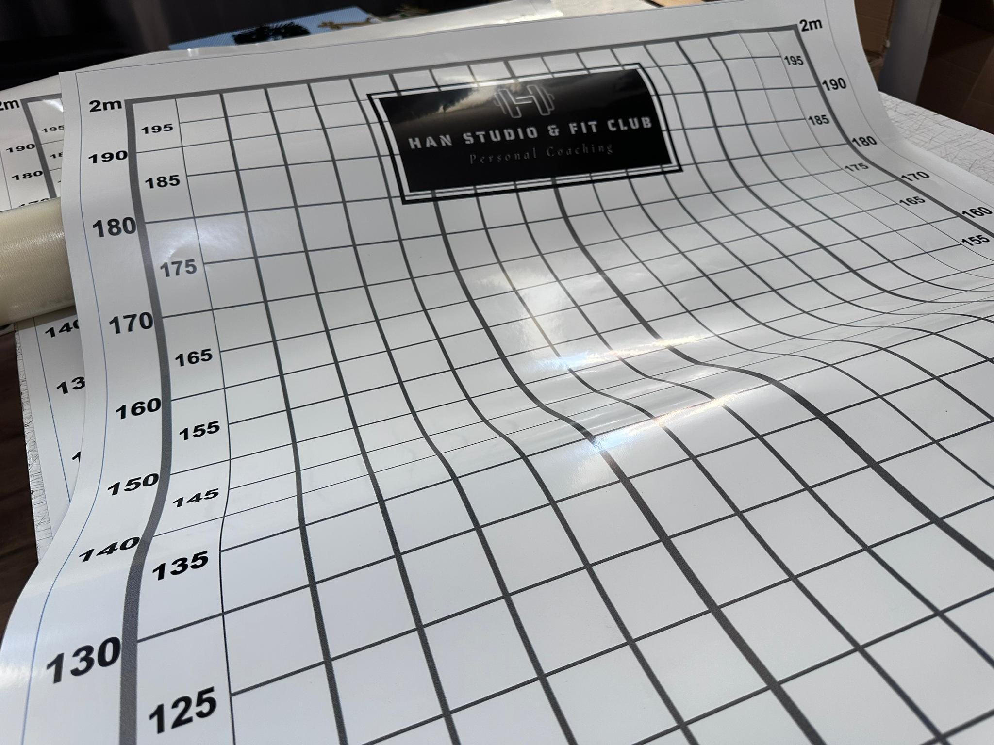 Custom Body Analysis Vinyl Posture Chart,posture Table Posture Grid ...