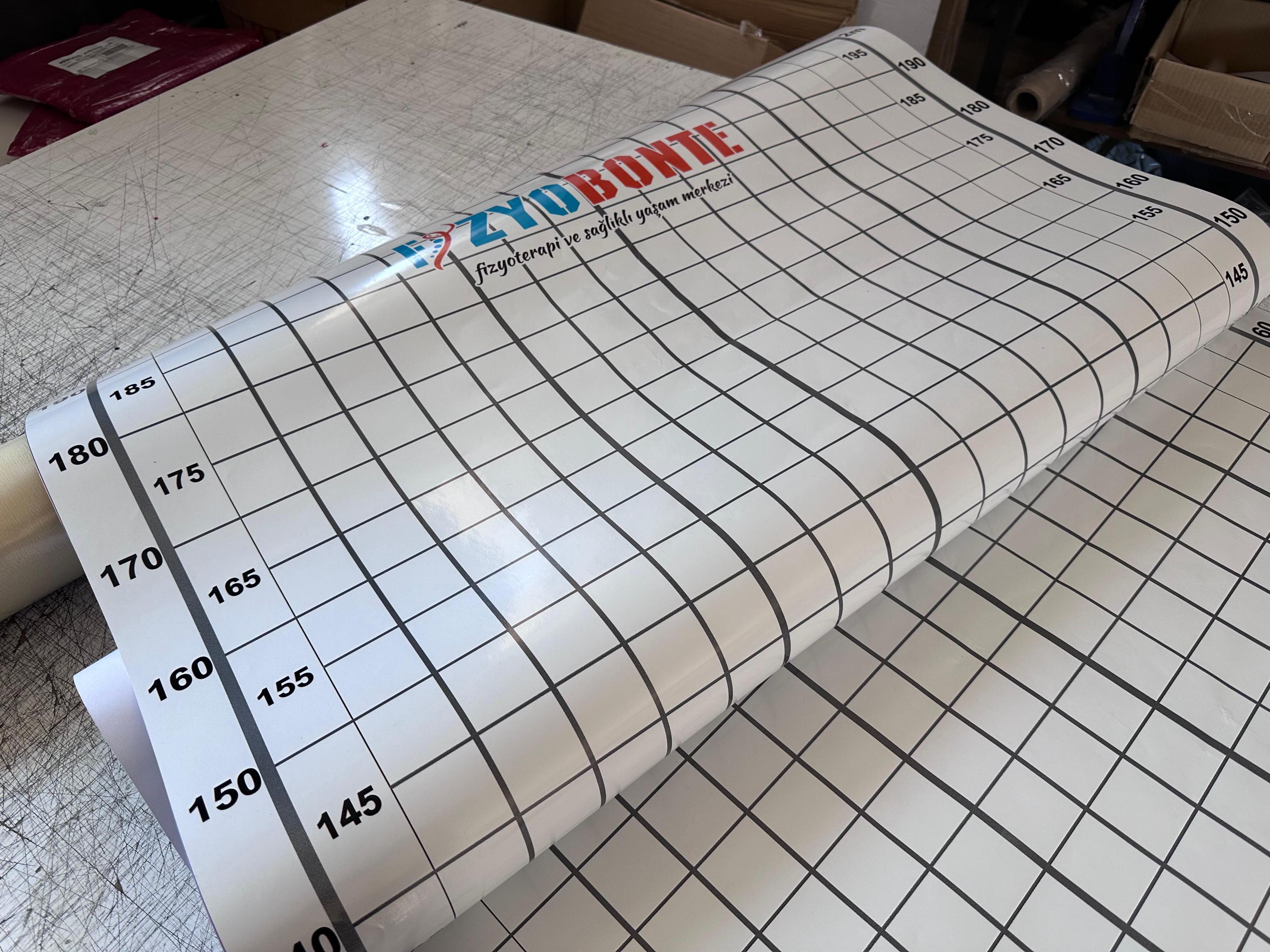 Custom Body Analysis Vinyl Posture Chart,posture Table Posture Grid ...