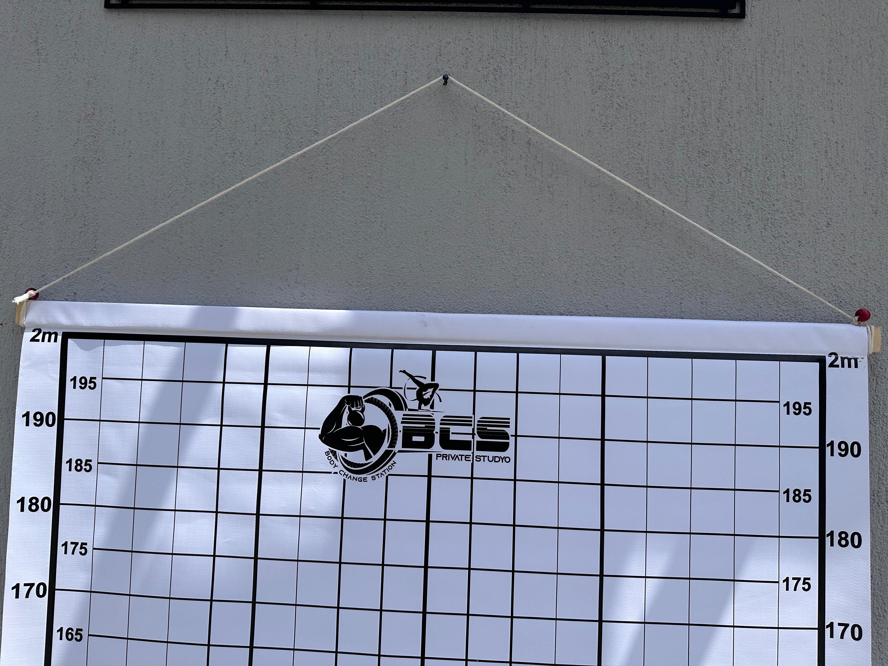 Custom Body Analysis Posture Chart,posture Table Posture Grid, Wall ...