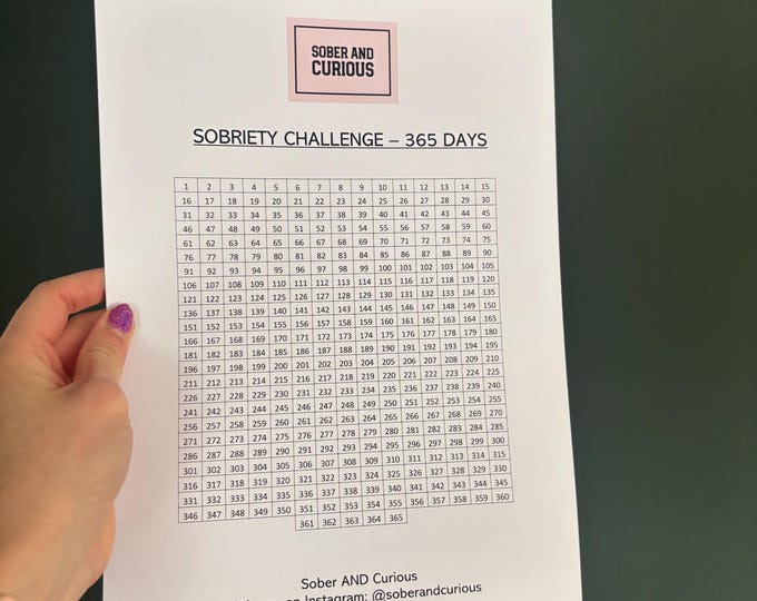 365 Day - SOBRIETY Tracker Challenge | Daily Sobriety Log | Addiction ...