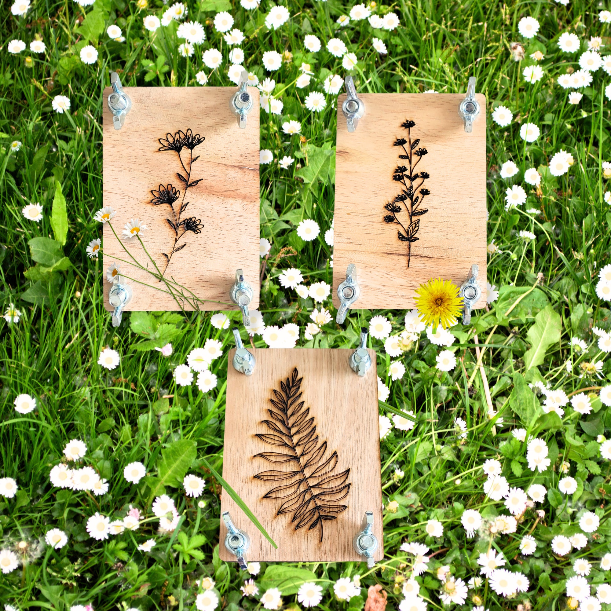 Pocket Flower Press, Kids and Nature Lover Herb and Plant Pressing Kit ...