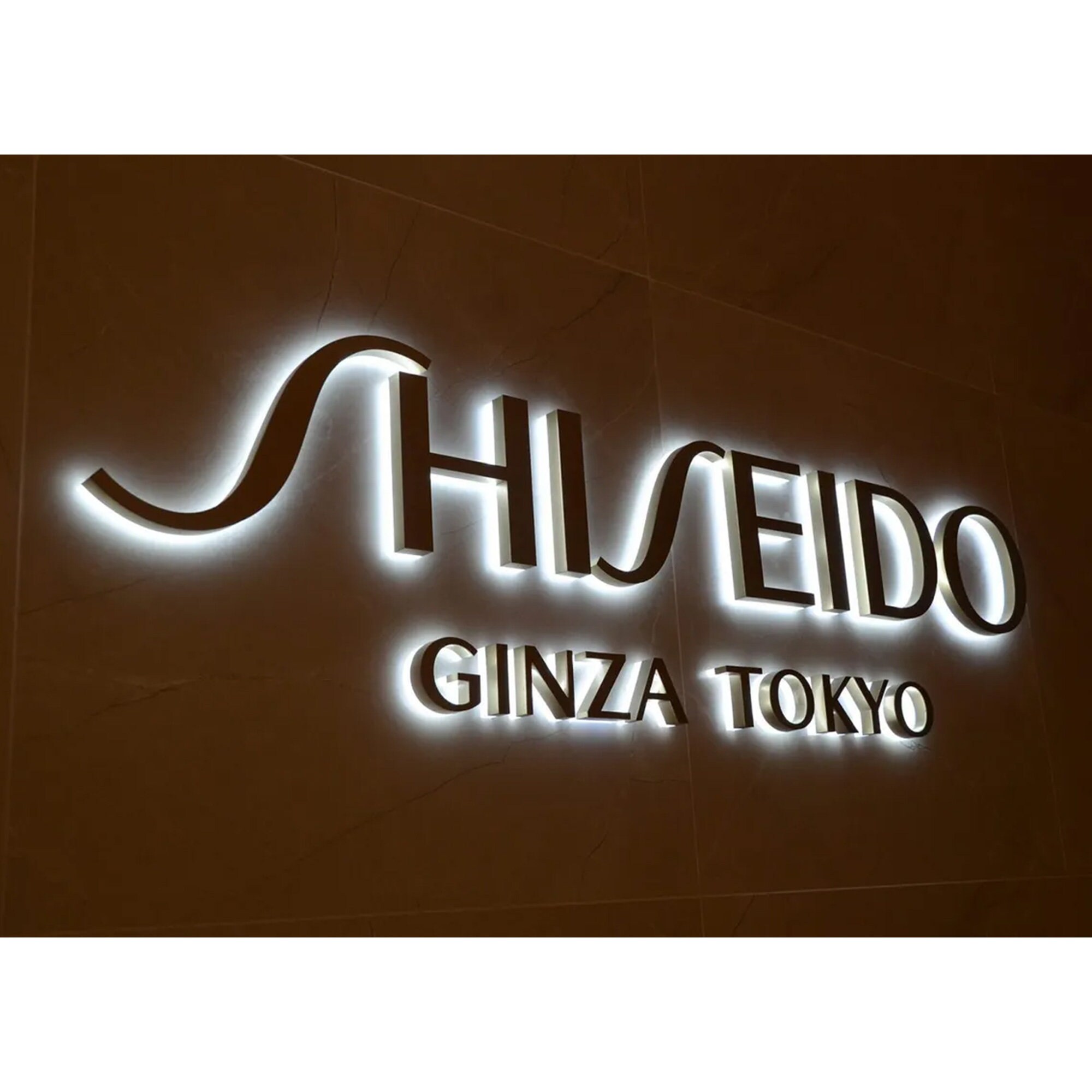 3d Backlit Sign, 3d Led Signage, Logo Light Sign, 3d Metal, Backlit ...