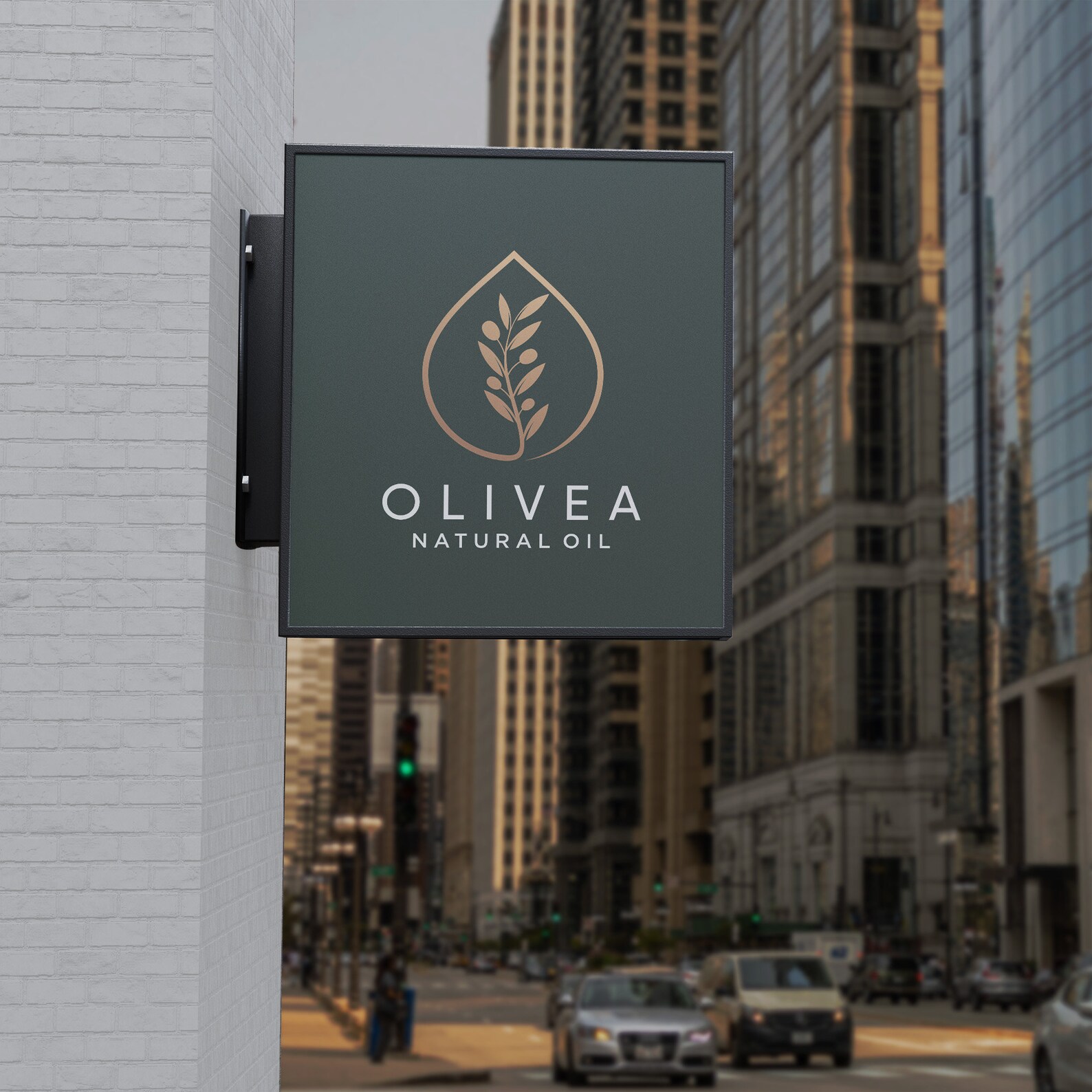 Double Sided Blade Sign, Round Light Box, Circle Custom Sign, Stylish ...