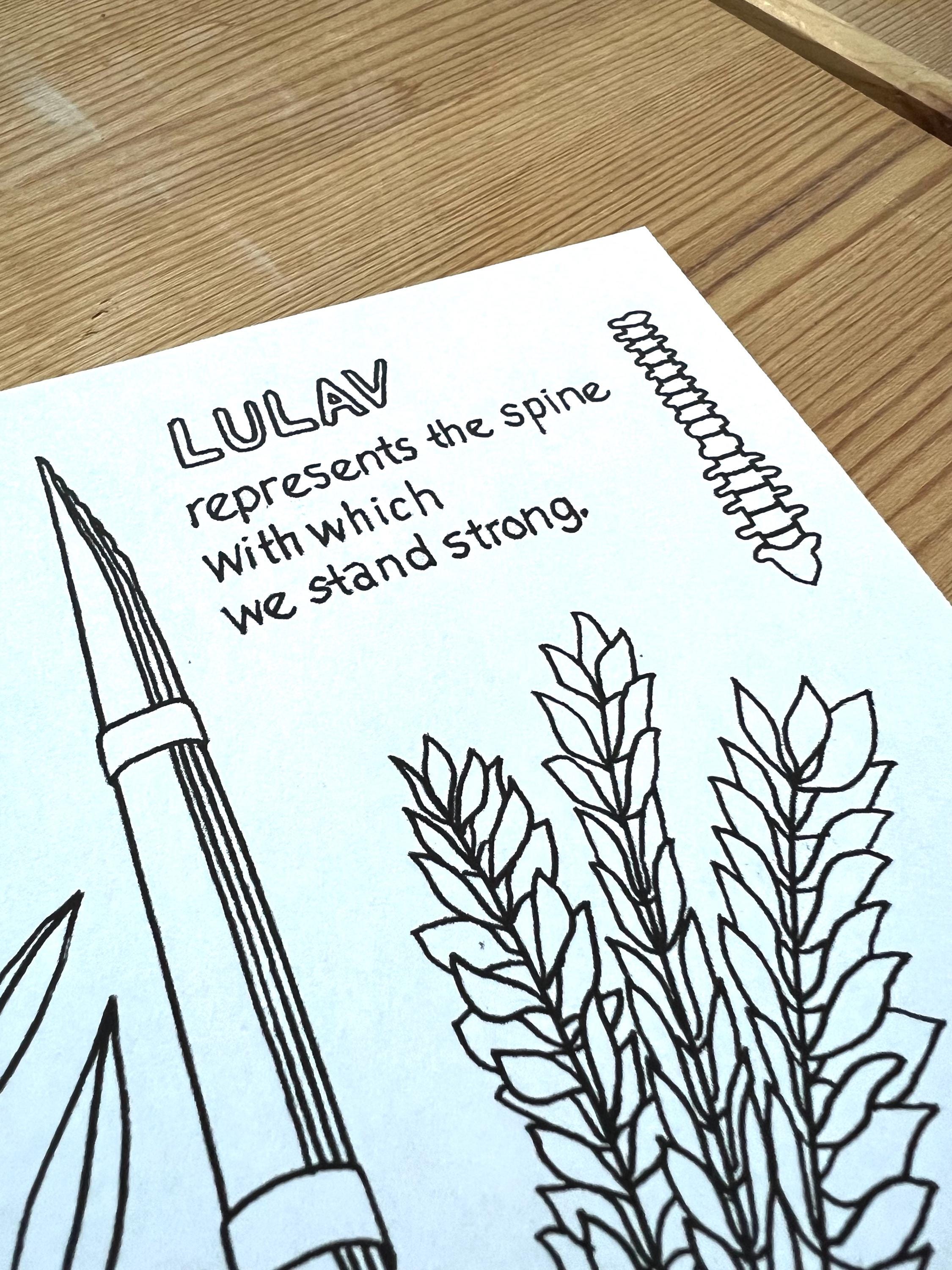 Digital Download Sukkah Art, Sukkot Coloring Sheet, Lulav and Etrog ...