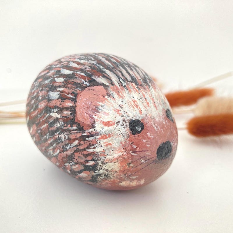 Paint Hedgehog Rock - Etsy