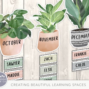 PLANTS & FOLIAGE Birthday Display, Celebration Classroom Display, Boho ...