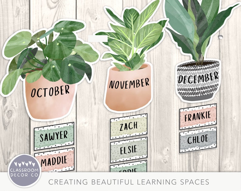 PLANTS & FOLIAGE Birthday Display Celebration Classroom - Etsy