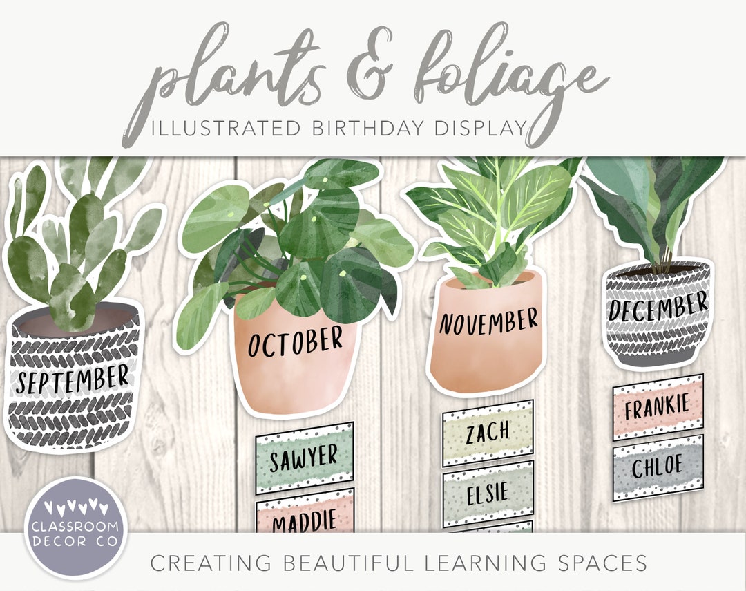 PLANTS & FOLIAGE Birthday Display Celebration Classroom - Etsy