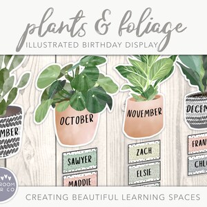 PLANTS & FOLIAGE Birthday Display Celebration Classroom - Etsy