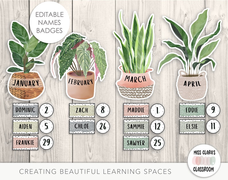 PLANTS & FOLIAGE Birthday Display Celebration Classroom - Etsy