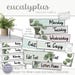 EUCALYPTUS Teacher Trolley Labels, 10 Drawer Rolling Cart Label Bundle ...