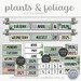 PLANTS & FOLIAGE Classroom Daily Schedule, Classroom Timetable Display ...