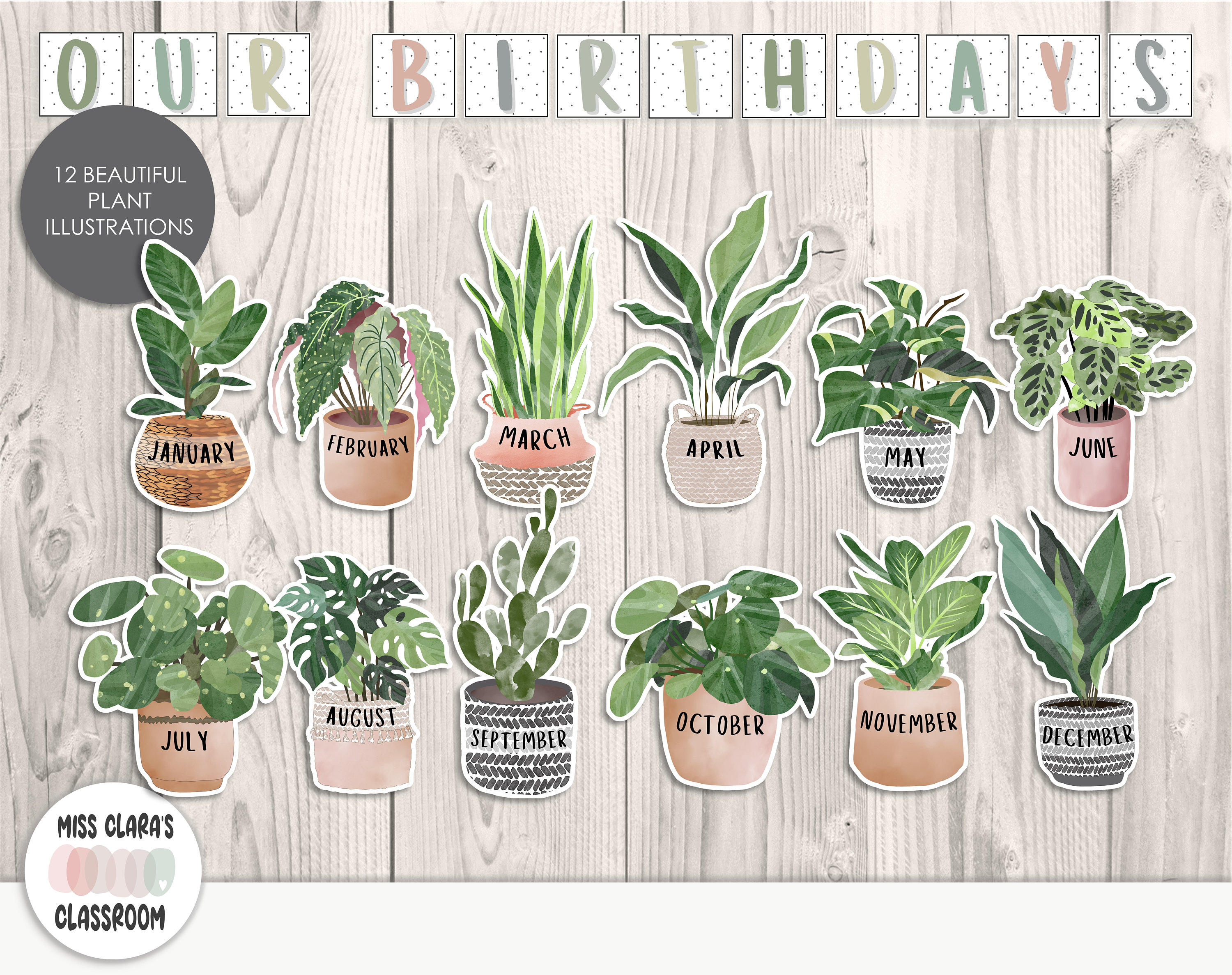 PLANTS & FOLIAGE Birthday Display Celebration Classroom - Etsy
