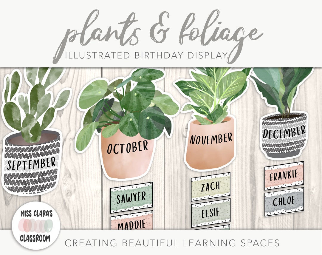PLANTS & FOLIAGE Birthday Display Celebration Classroom - Etsy