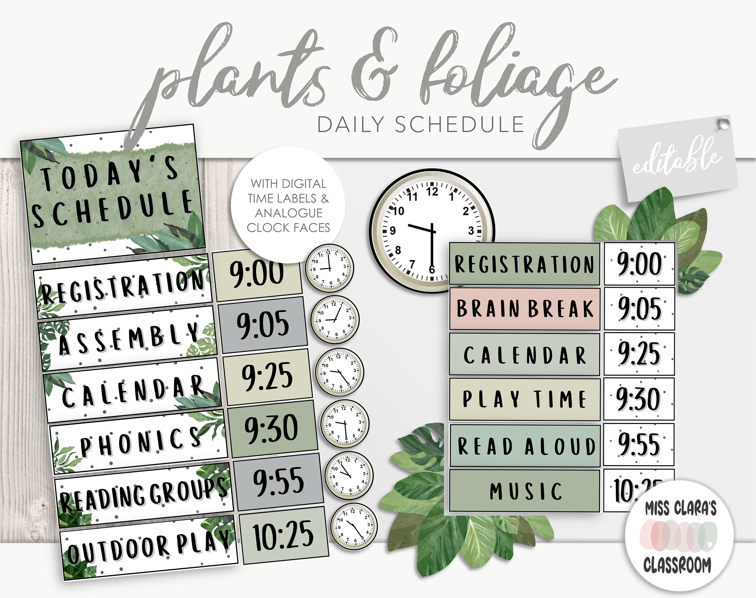 PLANTS & FOLIAGE Classroom Daily Schedule Classroom Timetable - Etsy UK