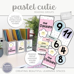 PASTEL CUTIE Reading Groups Labels, Classroom Group Organization Labels ...