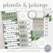 EUCALYPTUS Daily Schedule, Classroom Timetable Display Organizer ...
