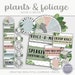 PLANTS & FOLIAGE Birthday Display, Celebration Classroom Display, Boho ...