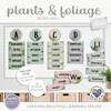 PLANTS & FOLIAGE Birthday Display, Celebration Classroom Display, Boho ...